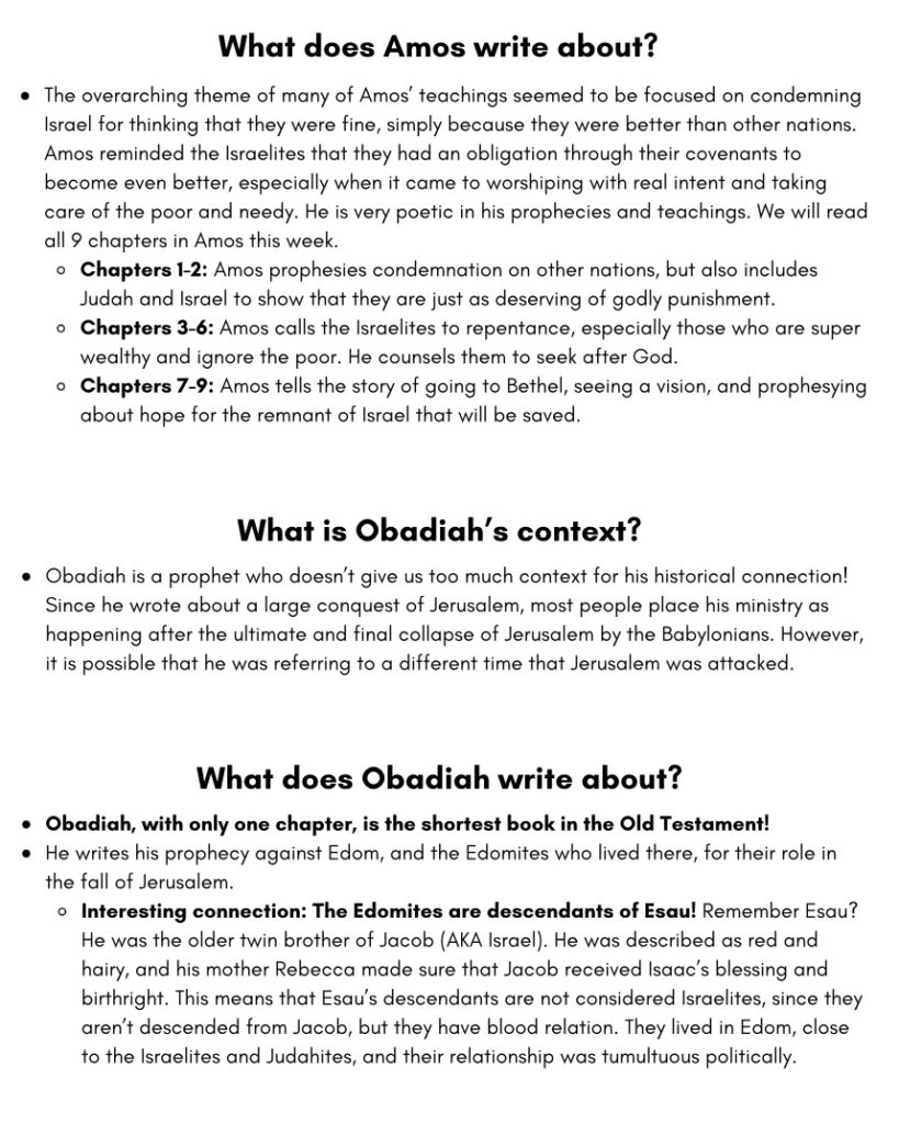 *Old Testament (FULL YEAR BUNDLE) Big Picture/Little Picture Study ...