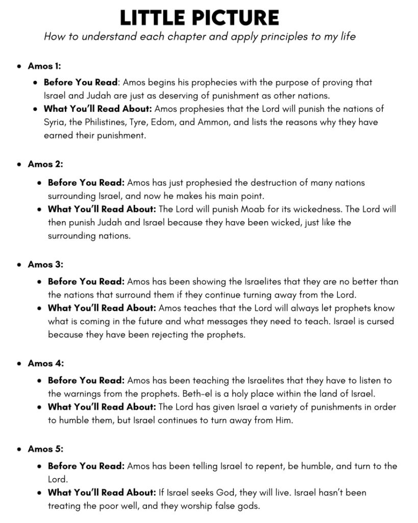 *Old Testament (FULL YEAR BUNDLE) Big Picture/Little Picture Study ...